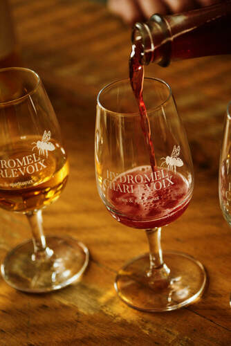 Expérience 2025 - Expériences - Liste