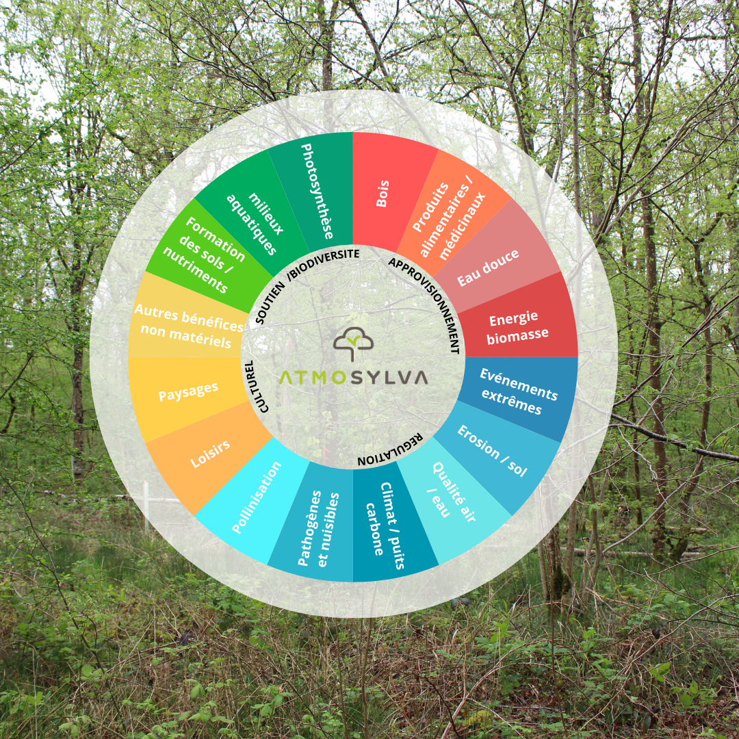 PRODURABLE 2025 - Produits - Vue détaillée